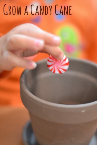 18 Ideas for a Magical Holiday